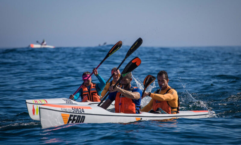 Home | Prescient Freedom Paddle