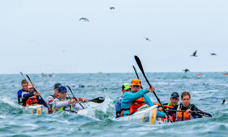 Home | Prescient Freedom Paddle