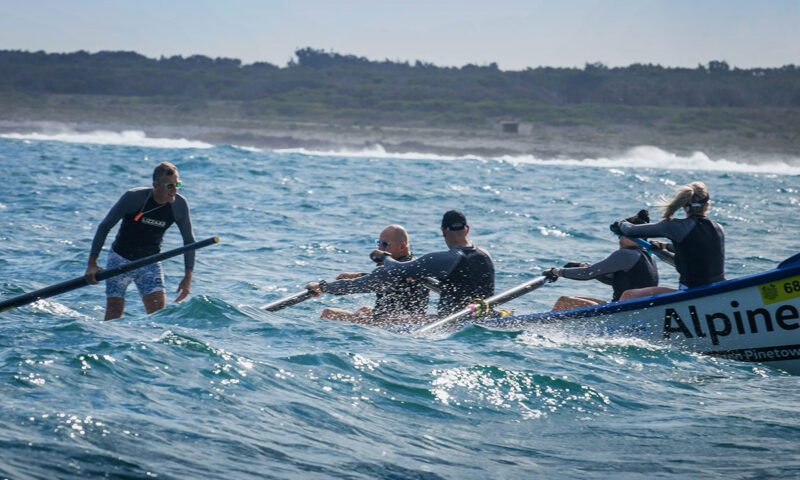 Home | Prescient Freedom Paddle